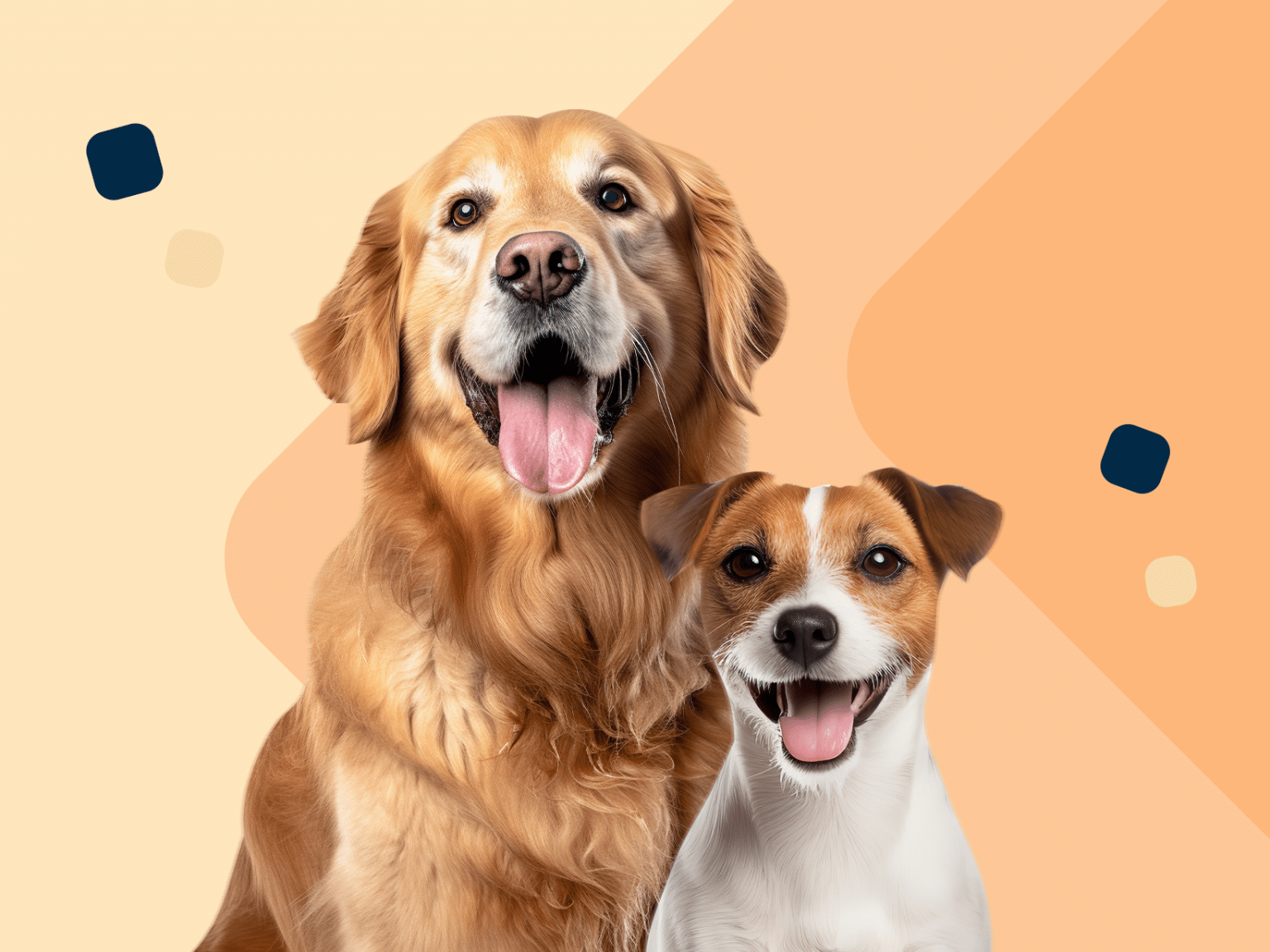 Ontstoken oog van een hond behandelen: tips en oplossingen