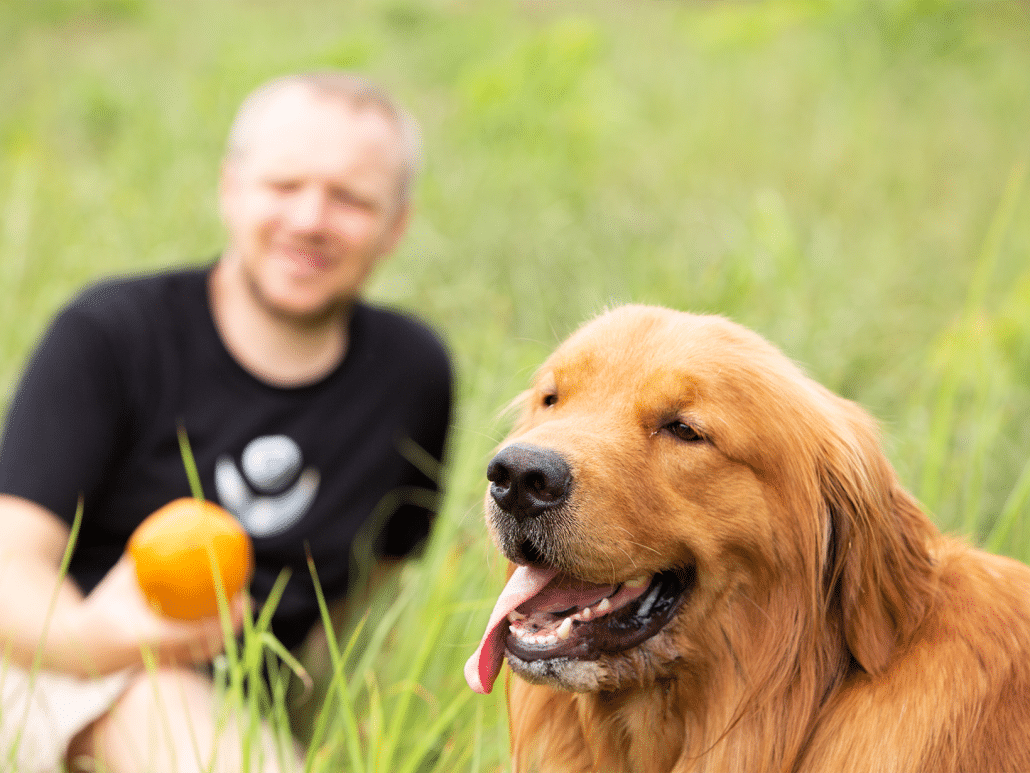 Mag een hond papaja eten? Ontdek het hier!