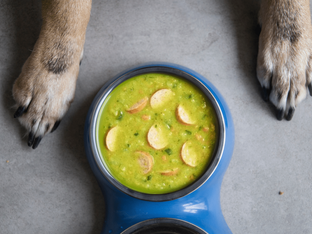 Mag een hond snert eten? Ontdek veilige voedingstips!